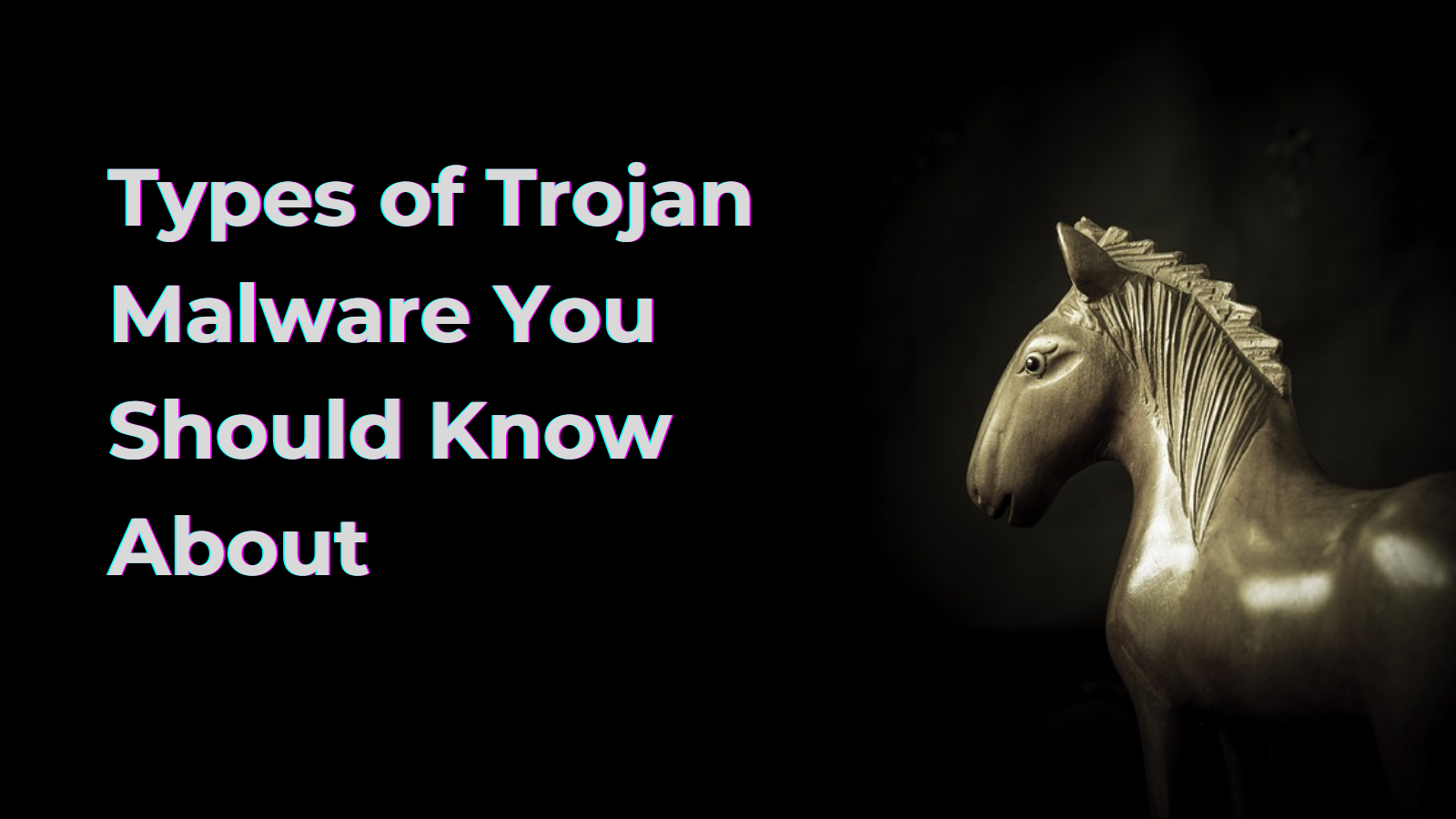 Types Of Trojan Malware You Should Know About Redfox Mobile Security Blog